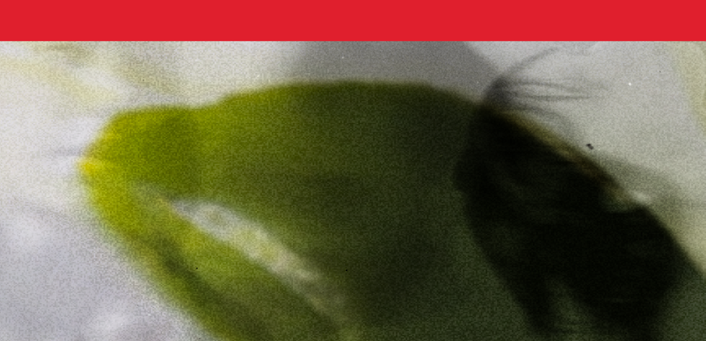 Martyna Basta / Adela Mede - Programma - Trix Antwerpen