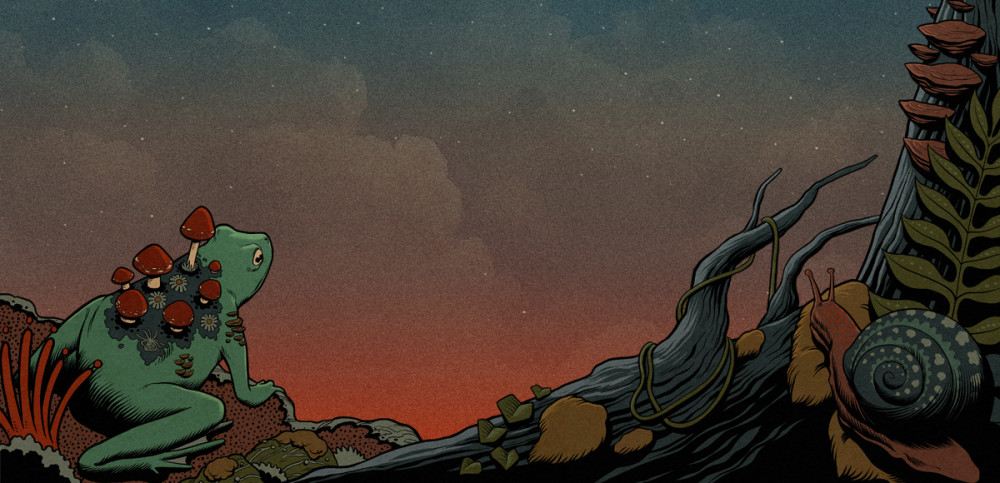 DESERTFEST ANTWERP - Program - Trix Antwerp